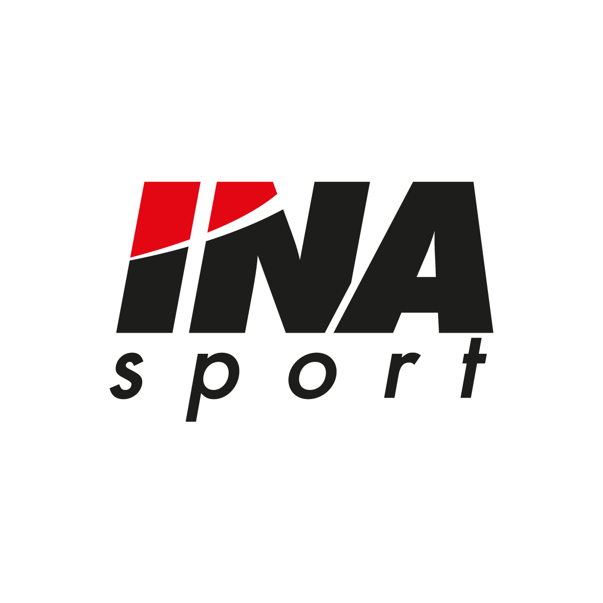 INA-SPORT_logo - Cyrilometodějské gymnázium a střední odborná škola ...